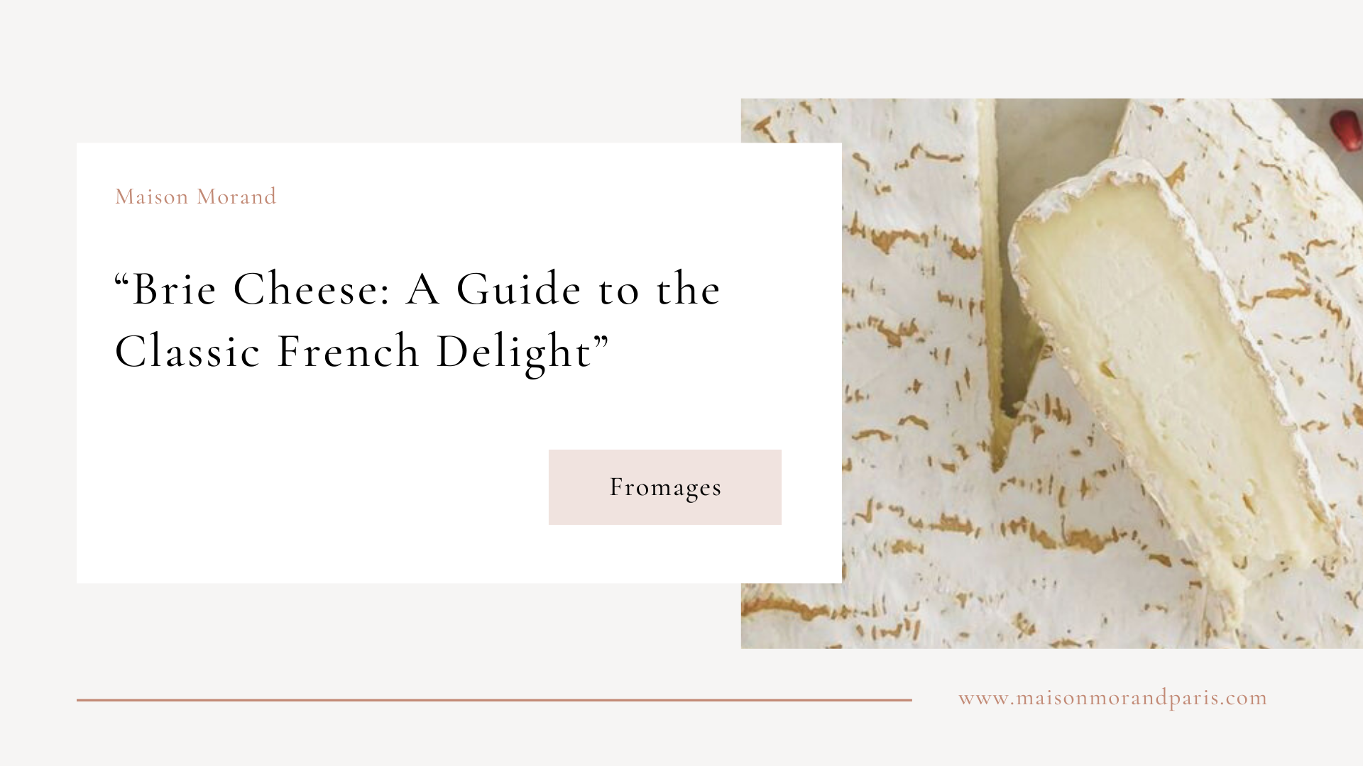 What is Brie Cheese? Everything You Need to Know About Brie Cheese ...