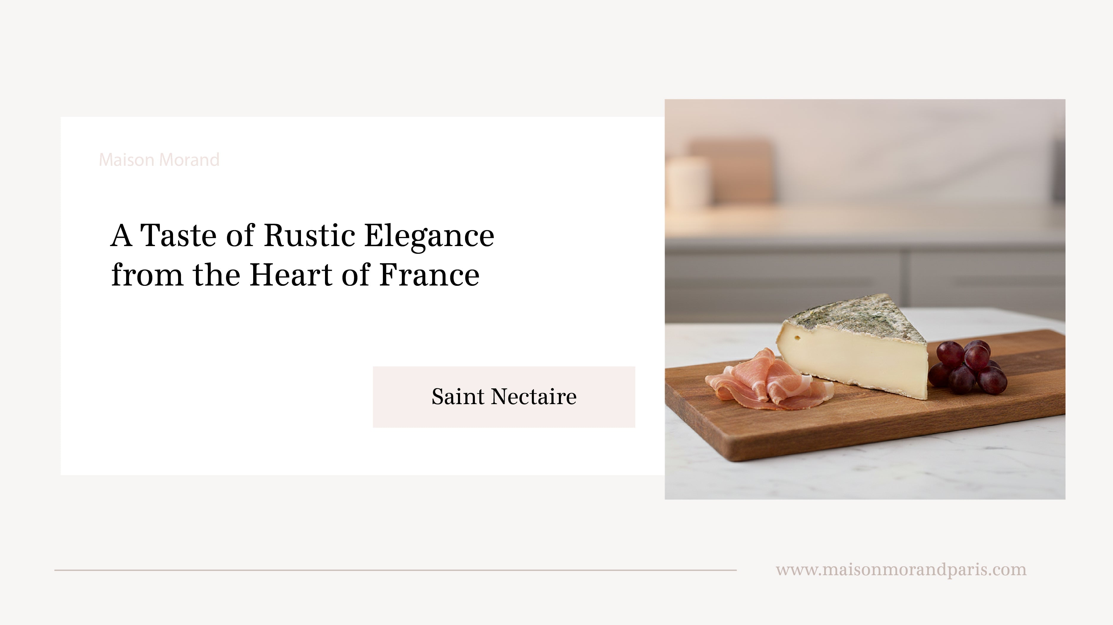 Saint-Nectaire Cheese: A Taste of Rustic Elegance from the Heart of Fr ...